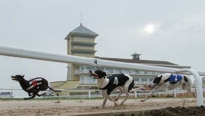 Towcester Racecourse - Towcester - Upcoming Events & Tickets